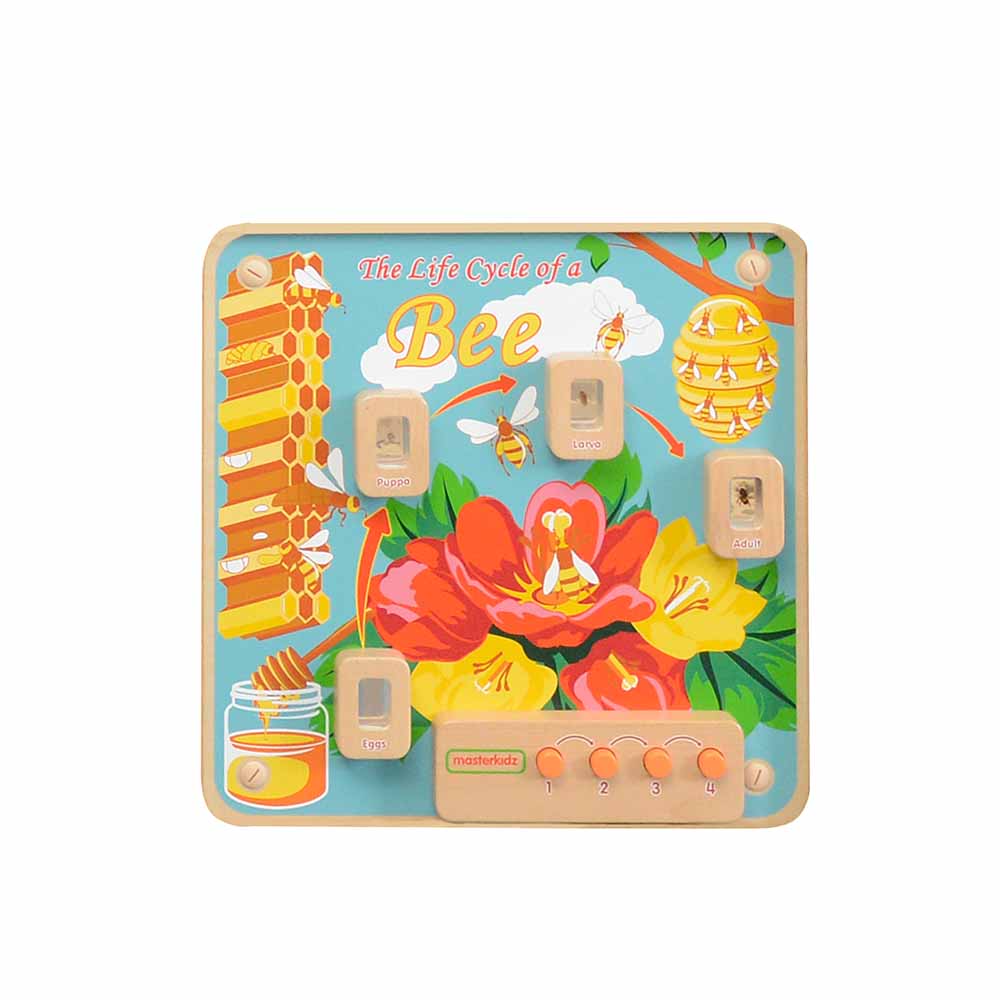 Masterkidz Interactive Bee Life Cycle Wall Panel | Visual Science & In